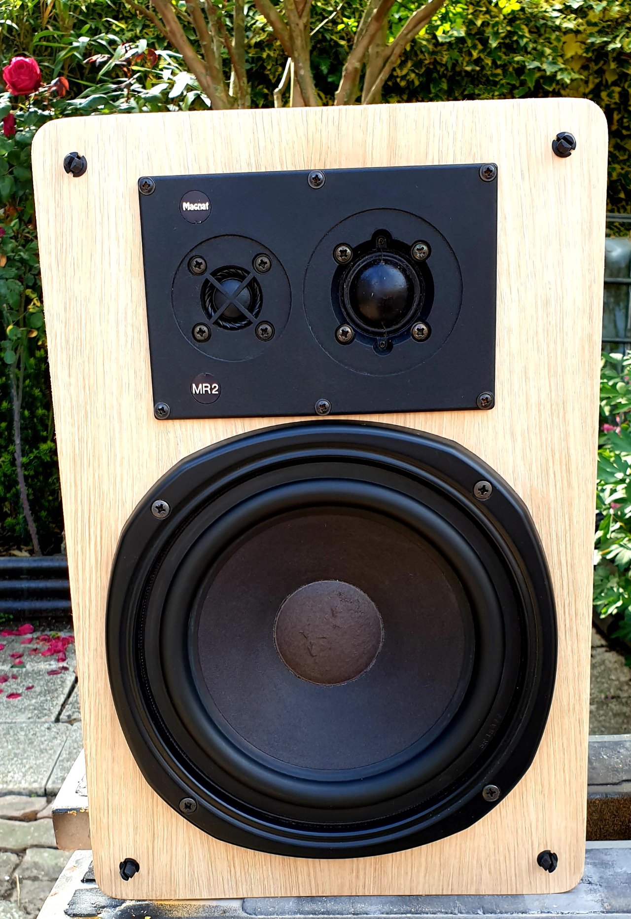 Magnat MIG - Ribbon 2 (MR2) - Le forum Audiovintage